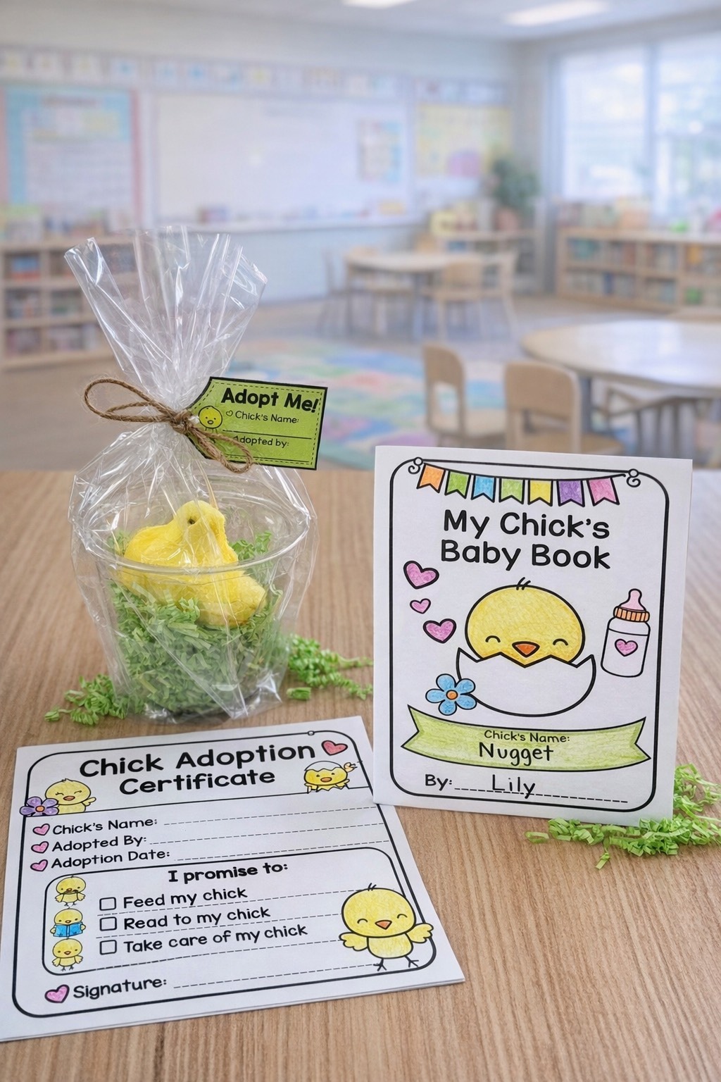 Adopt a Chick Classroom Activity - Caffeine & Classy