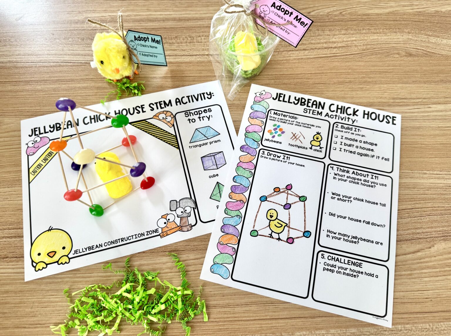 Adopt a Chick Classroom Activity - Caffeine & Classy